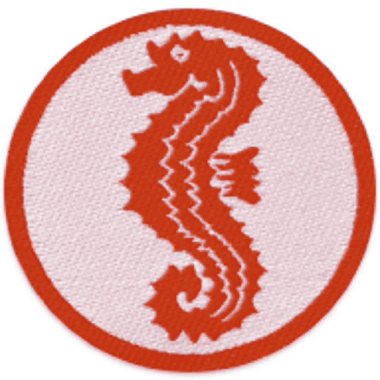 Schwimmabzeichen - Schwimmausbildung | Die Deutsche Schwimmjugend - Offizielle Homepage